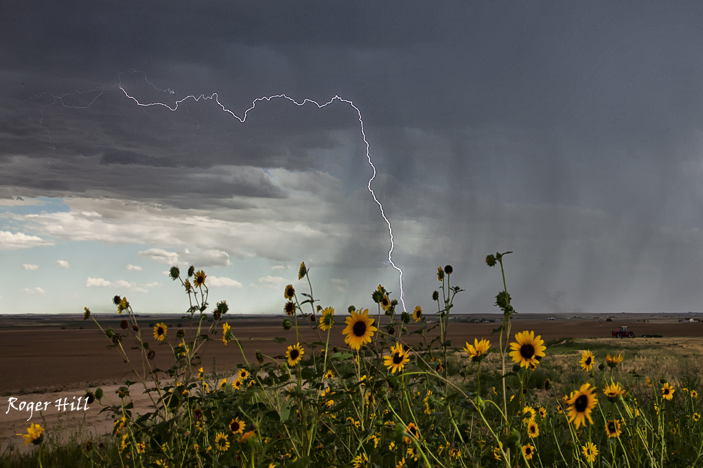Late July Colorado Lightning