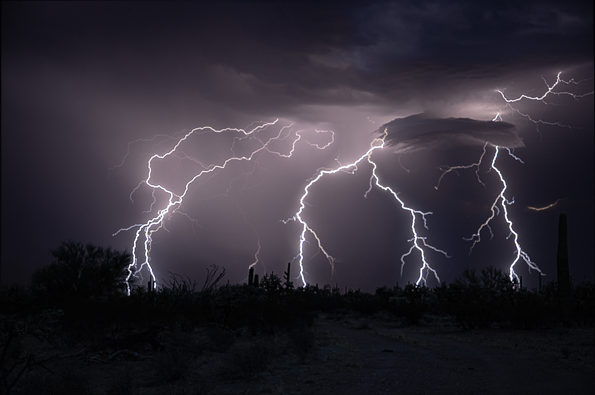 July 29 -August 8 Arizona Monsoon Storms